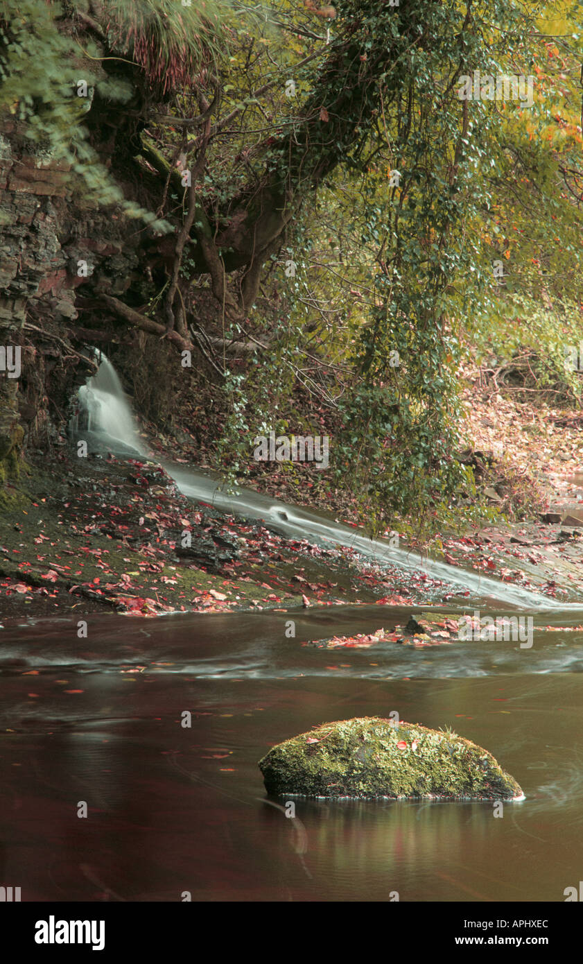 River Dane in Wincle, Peak district Cheshire Derbyshire border UK Stock ...