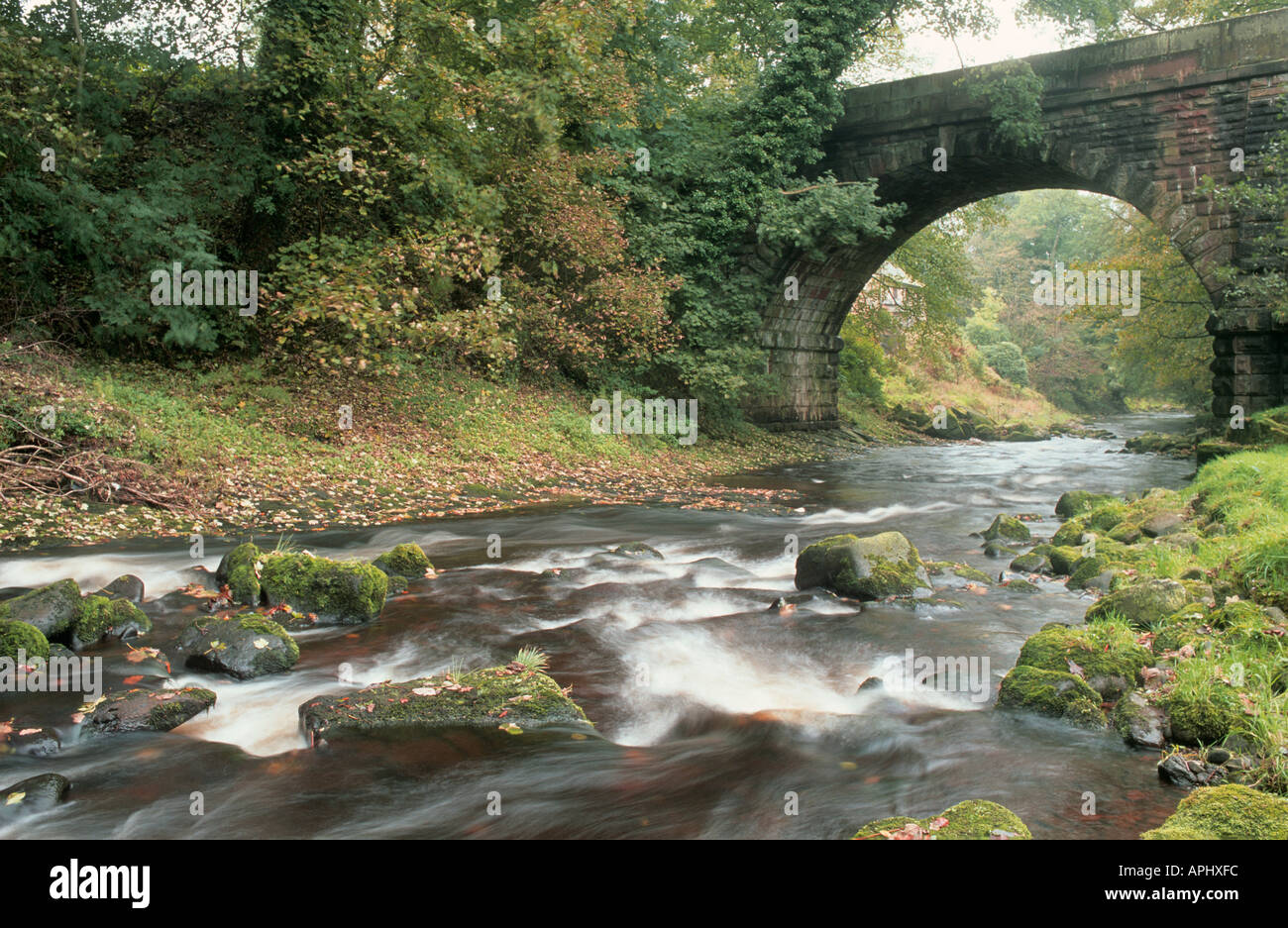 River Dane with bridge in Wincle Cheshire UK Stock Photo - Alamy