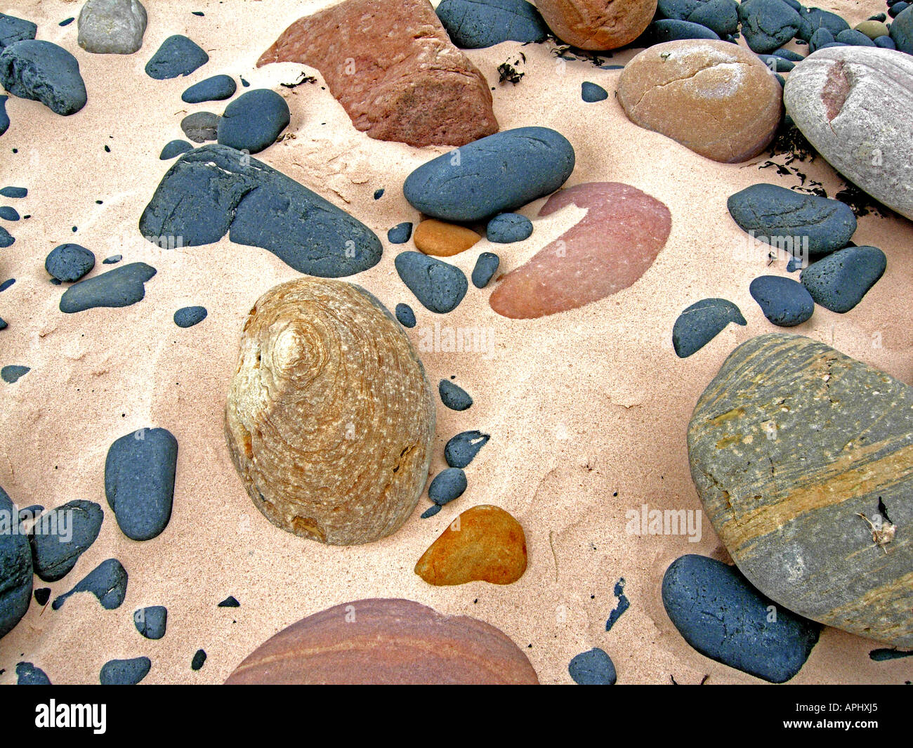 Coloured rocks and pebbles on the Burnmouth beach at Rackwick on the ...
