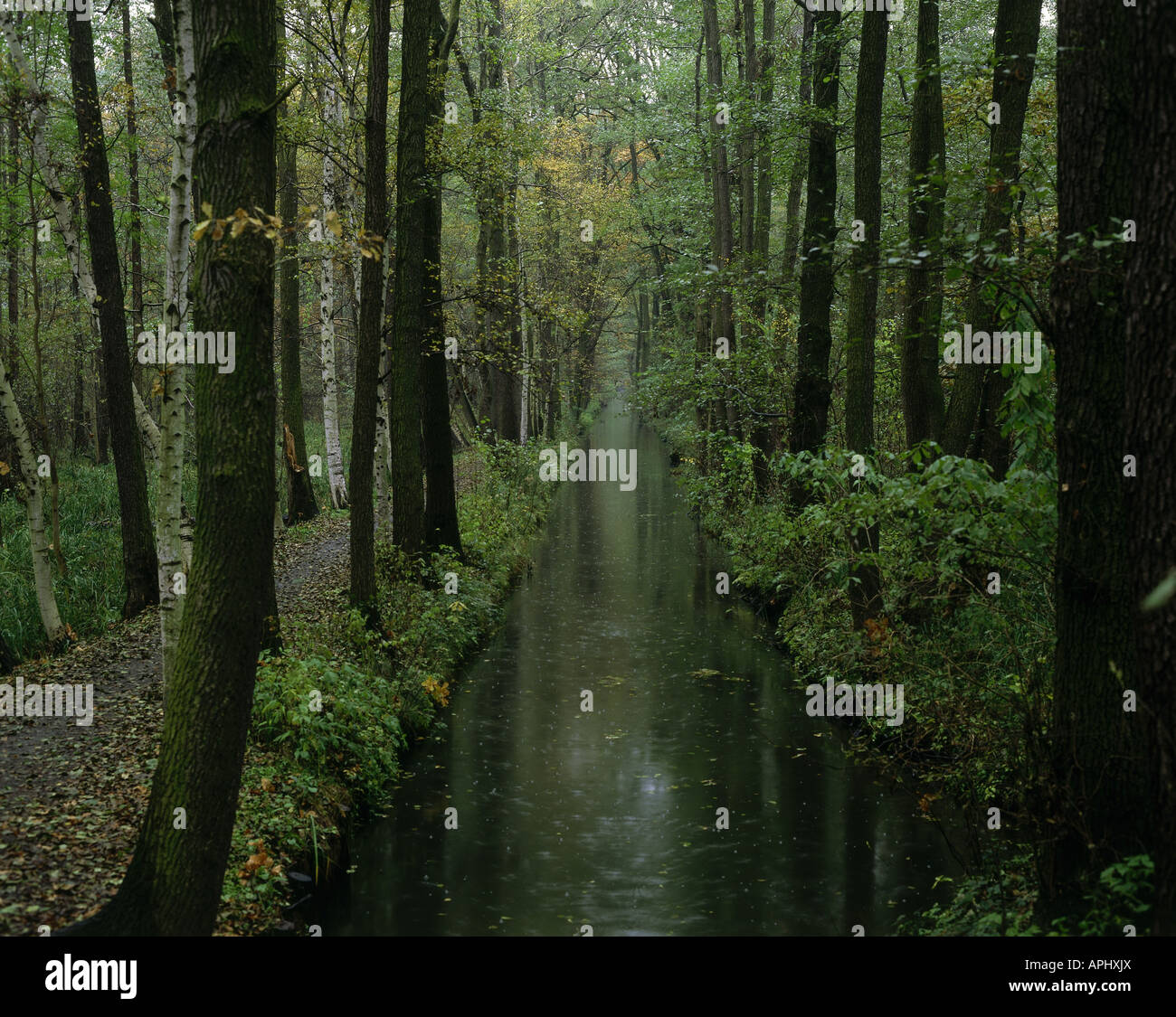 geography/travel, Germany, Brandenburg, landscapes, biosphere reserve ...