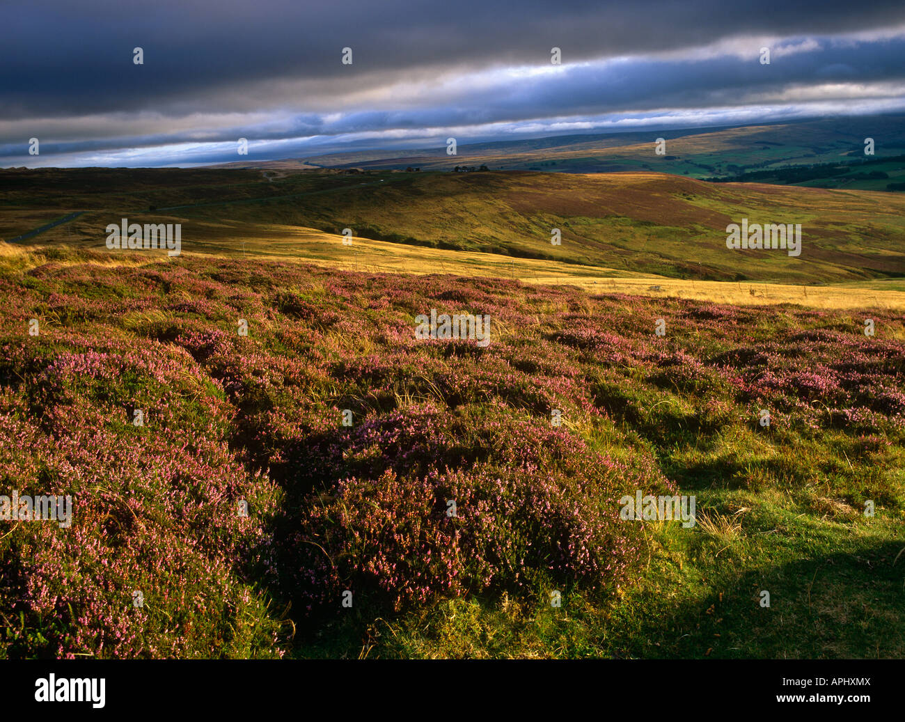 Durham moorland hi-res stock photography and images - Alamy