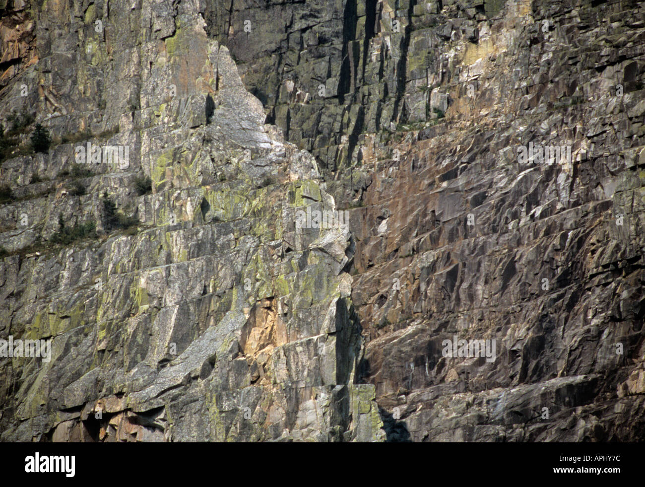 A section of Cannon Cliffs great spot for rock climbing in the ...
