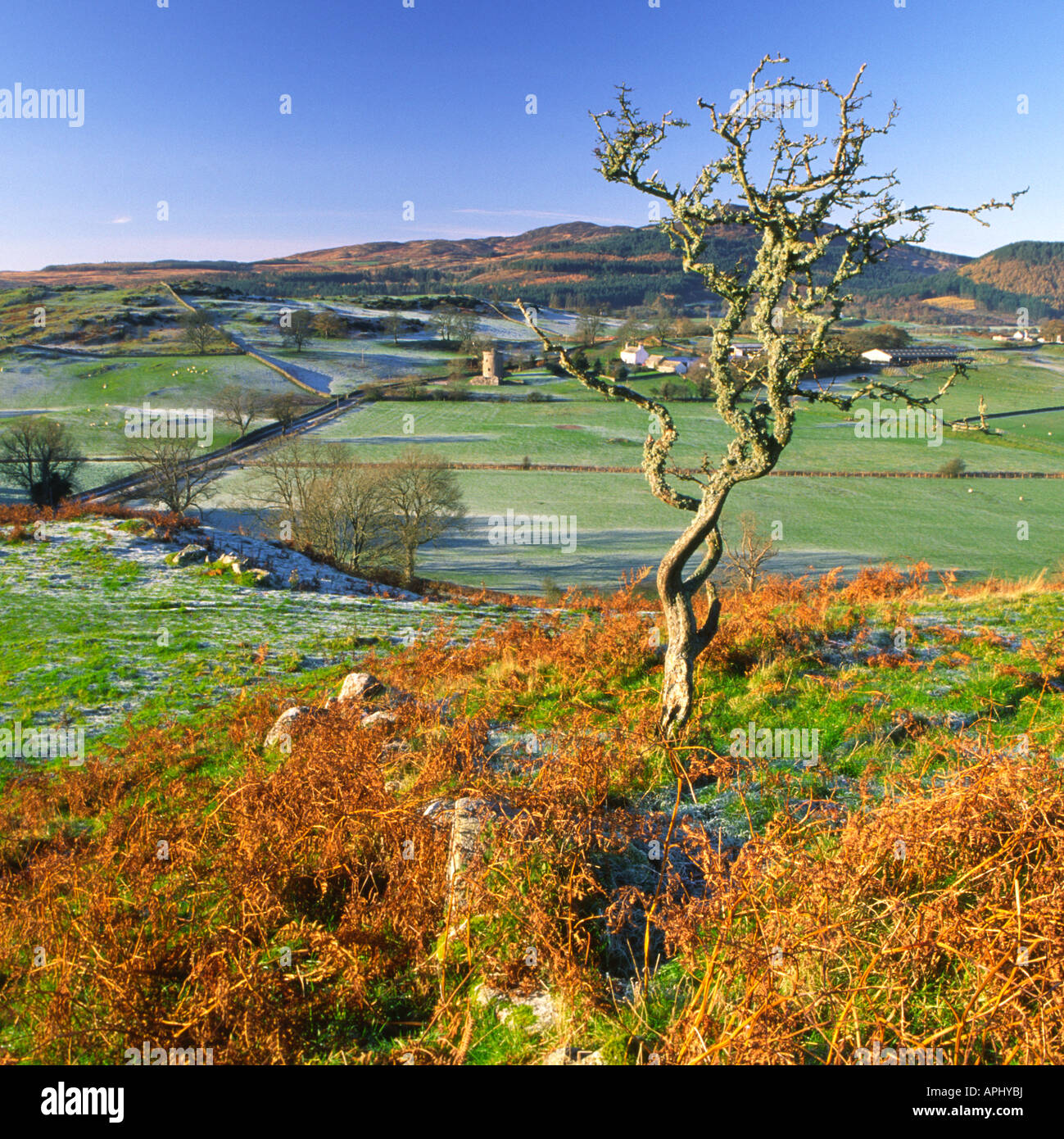A cold frosty winter landscape looking down on Orchardton Tower with ...