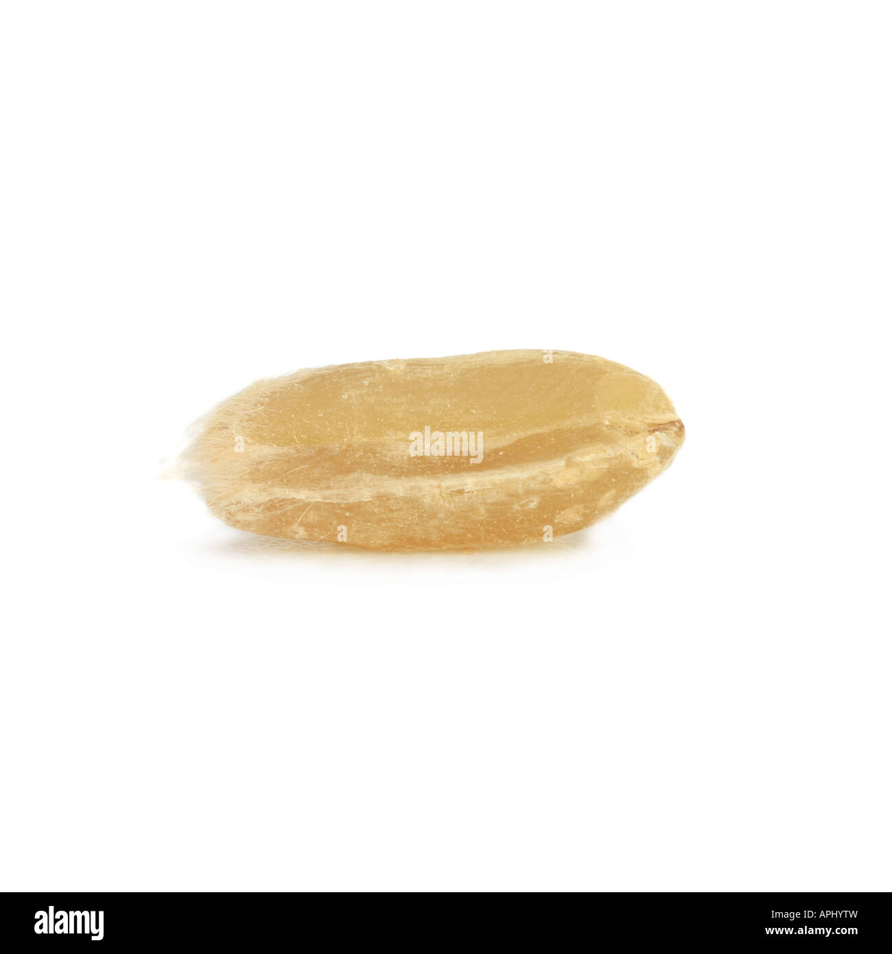 Wheat unripe Cut Out Stock Images & Pictures - Alamy