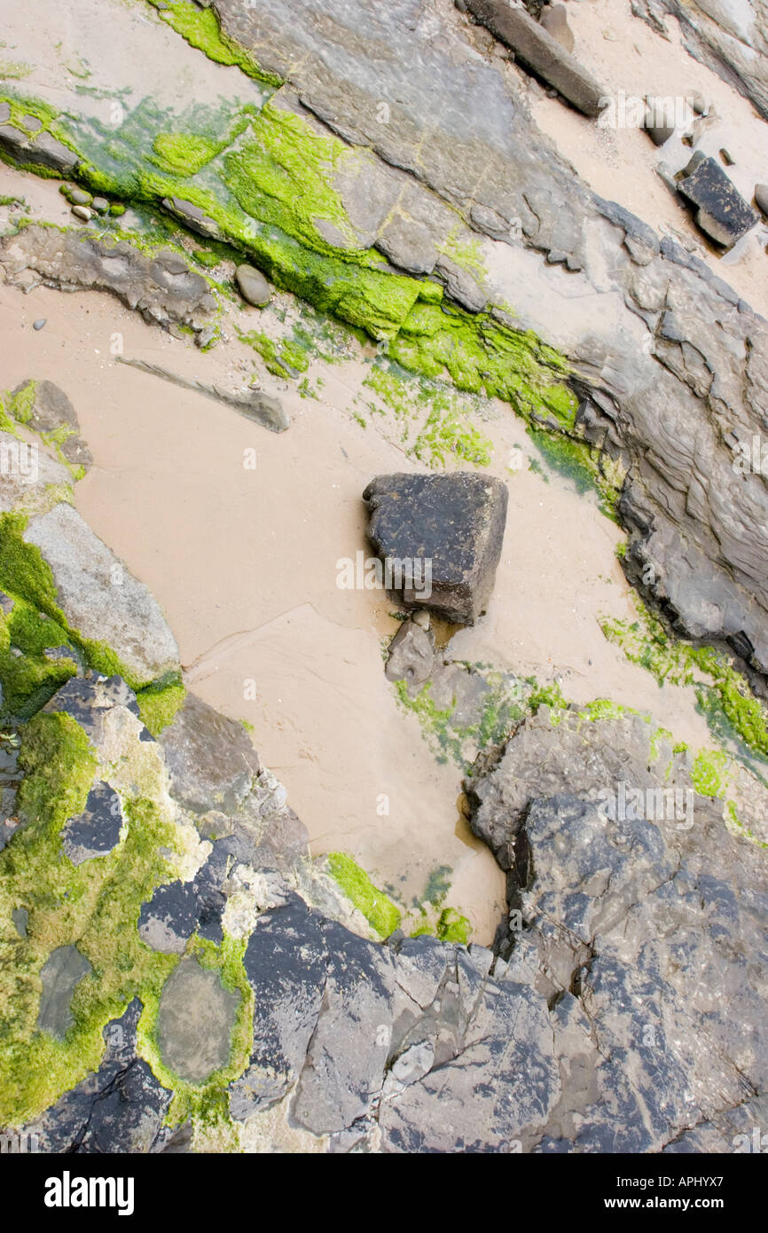 The beach sand rocks and pebbles Stock Photo - Alamy