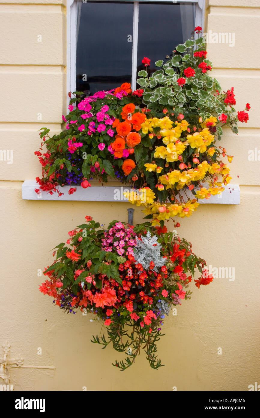 Window box overflowing with flowers Stock Photo - Alamy