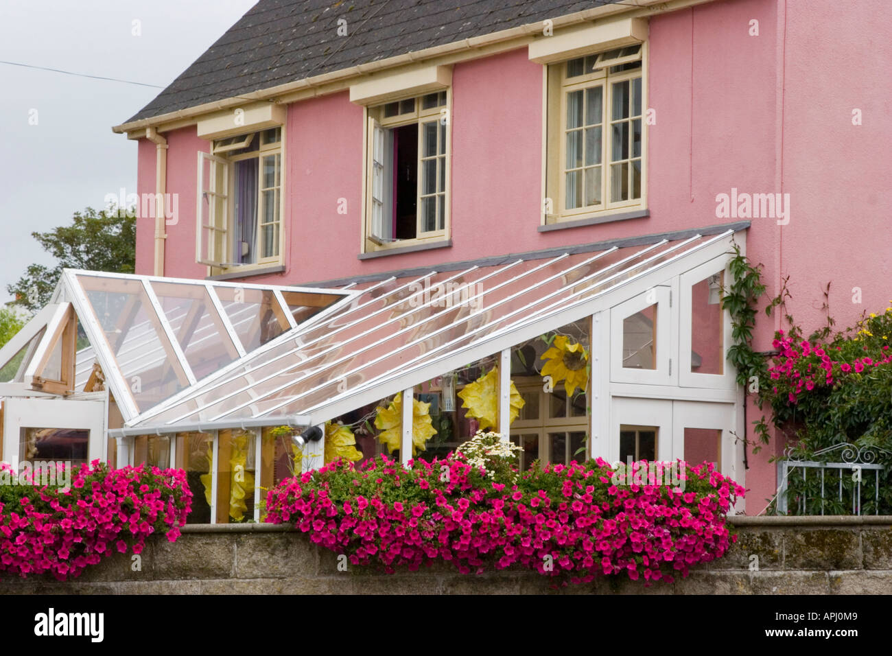 Pink house flowers and conservatory Stock Photo - Alamy