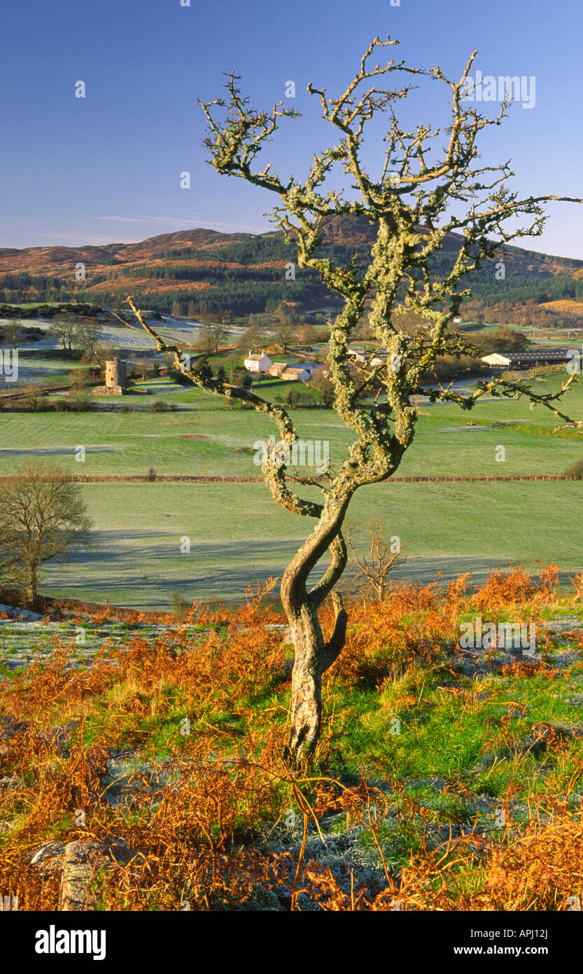 A cold frosty winter landscape looking down on Orchardton Tower with ...
