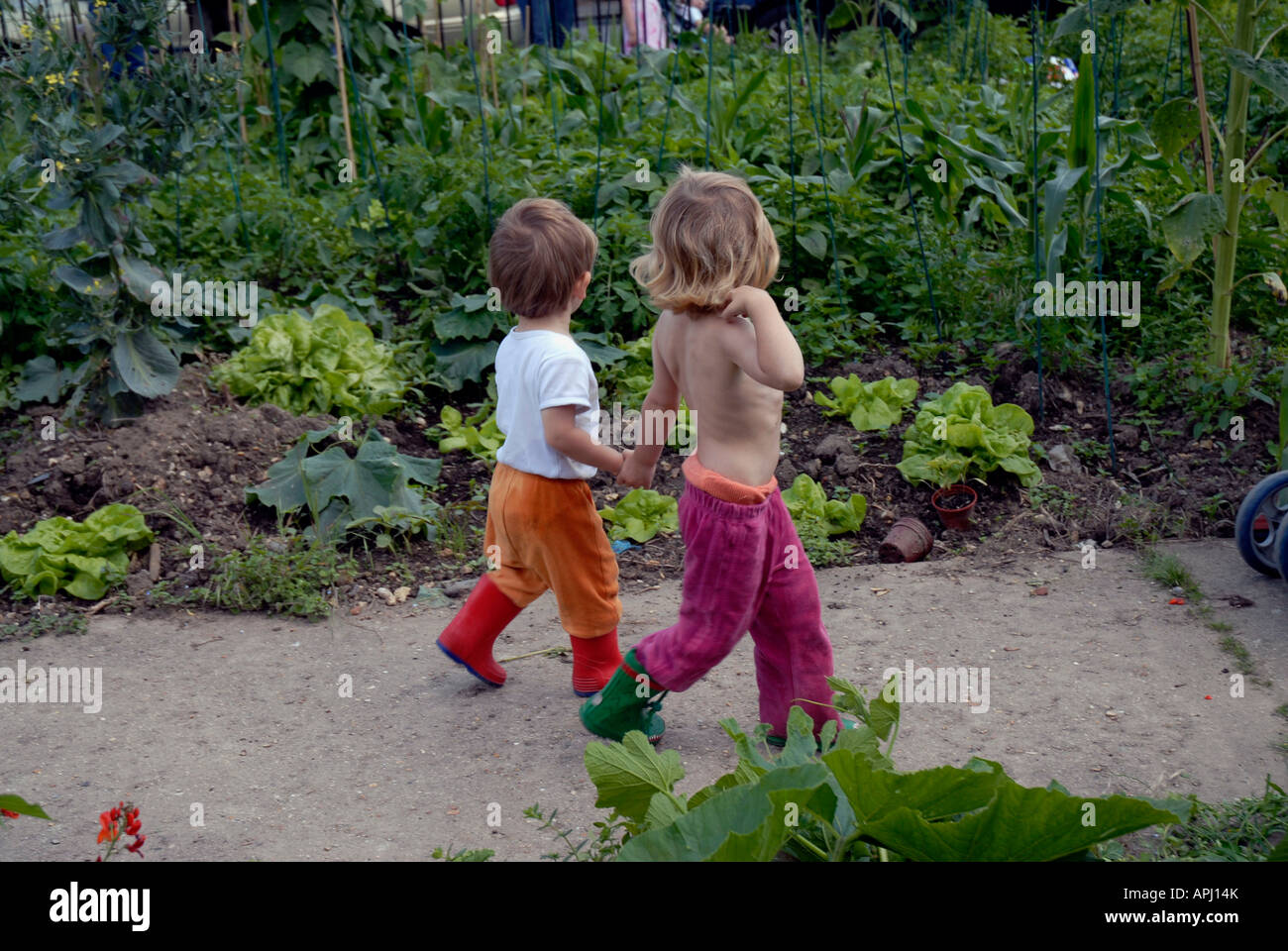 Children Allotment Uk High Resolution Stock Photography and Images - Alamy