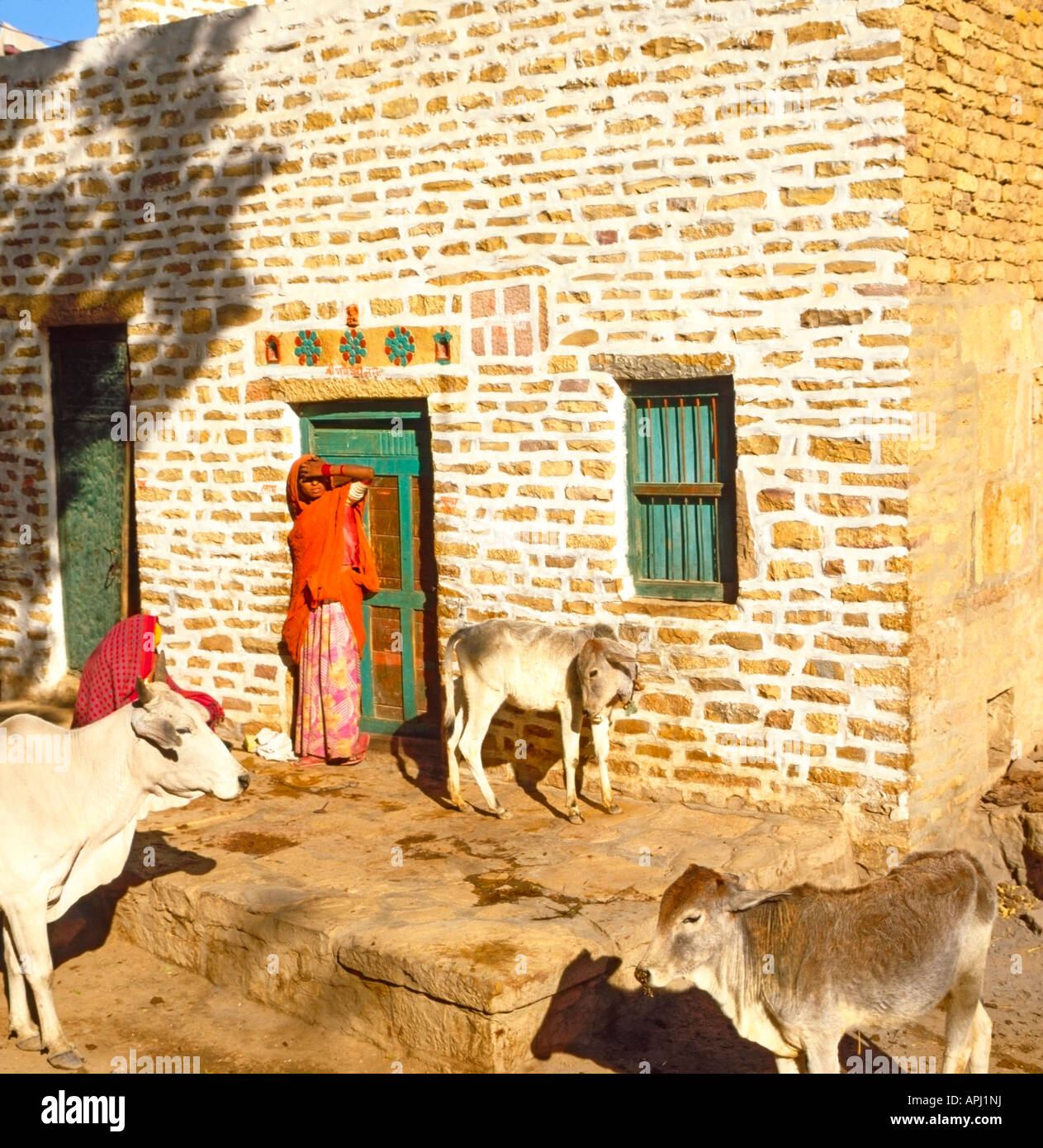 House animals hi-res stock photography and images - Alamy
