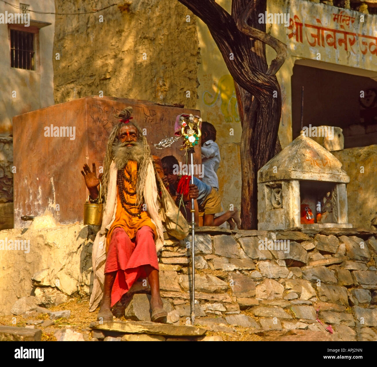 Indian mystic or Sadhu Stock Photo - Alamy