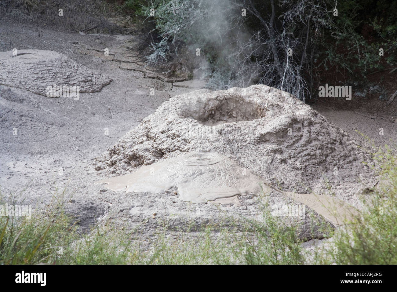 Rotorua North Island New Zealand Boiling Kaolin clay mud pool in Te ...