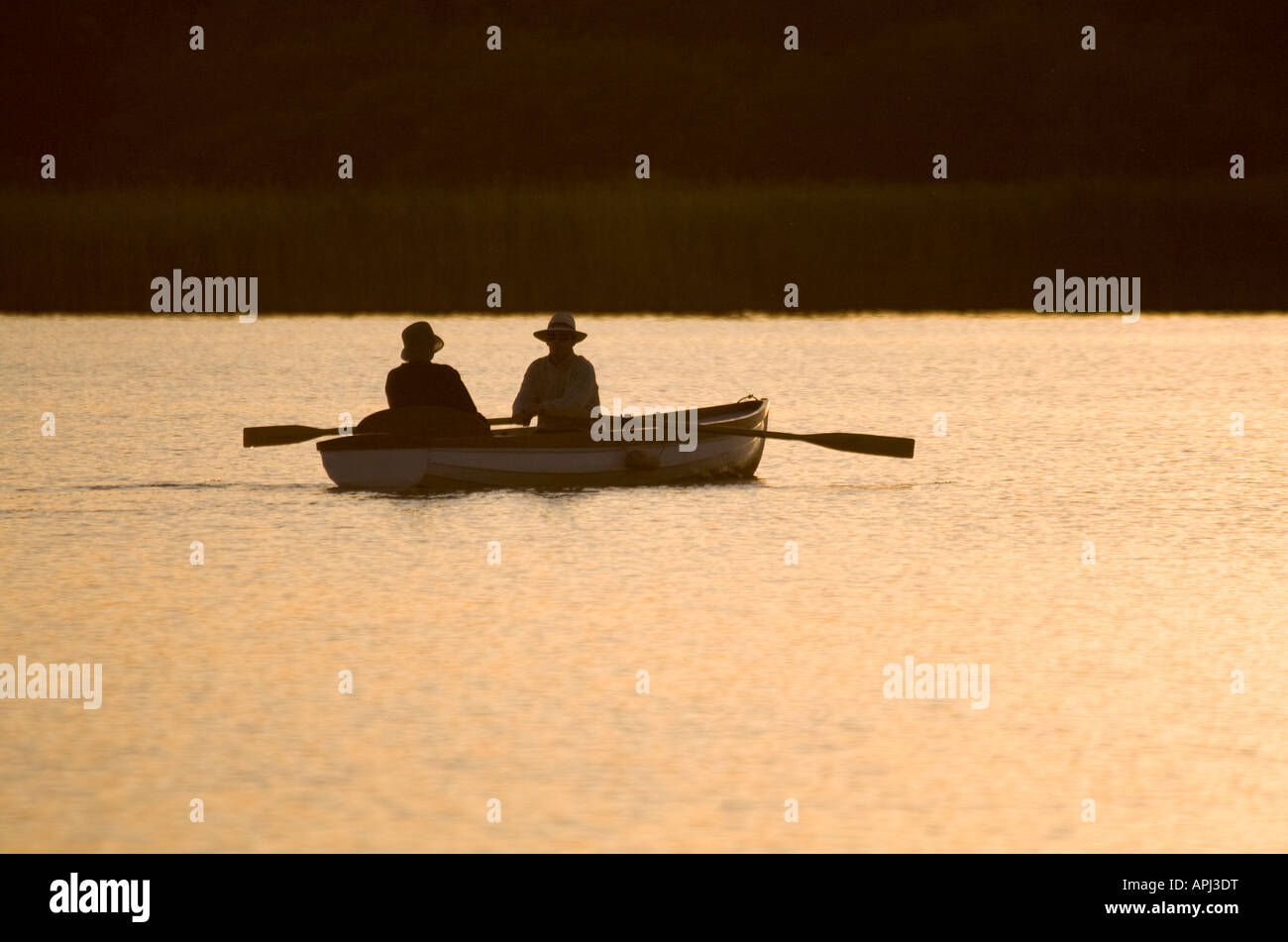 Two People Rowing a Boat at Sunset on Norfolk Broads Stock Photo - Alamy