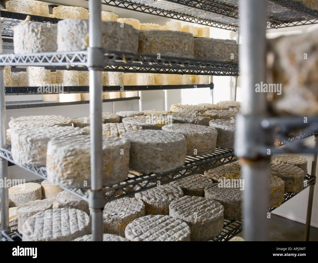Control ripening cheese hi-res stock photography and images - Alamy