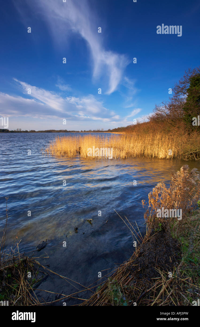 Filby hi-res stock photography and images - Alamy