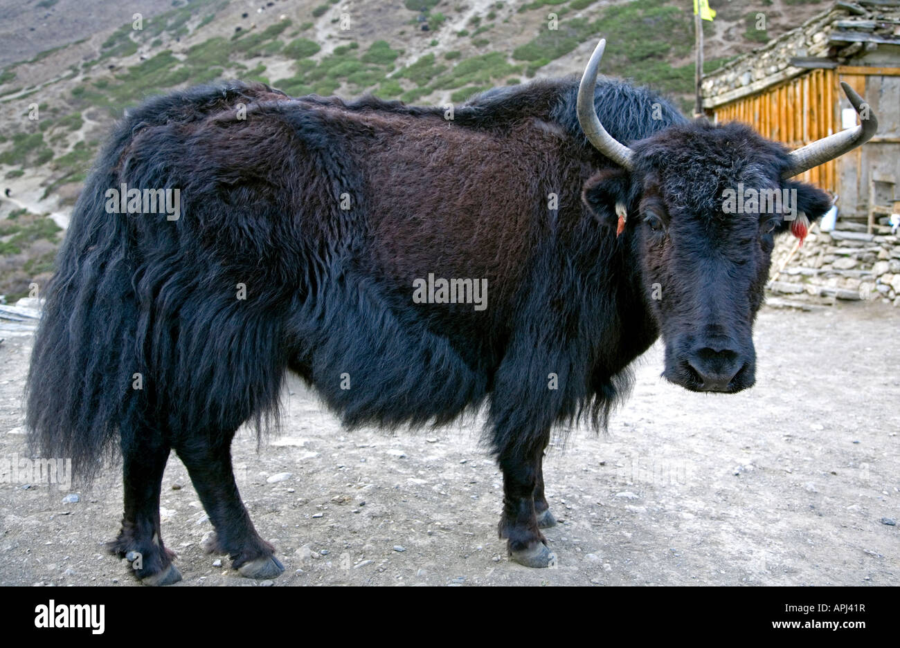 Ledar High Resolution Stock Photography and Images - Alamy