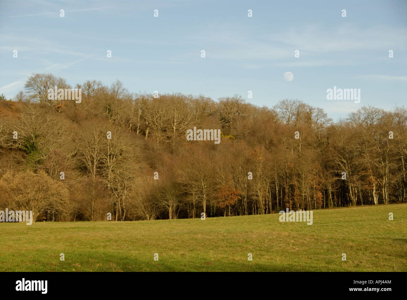 Limou hi-res stock photography and images - Alamy