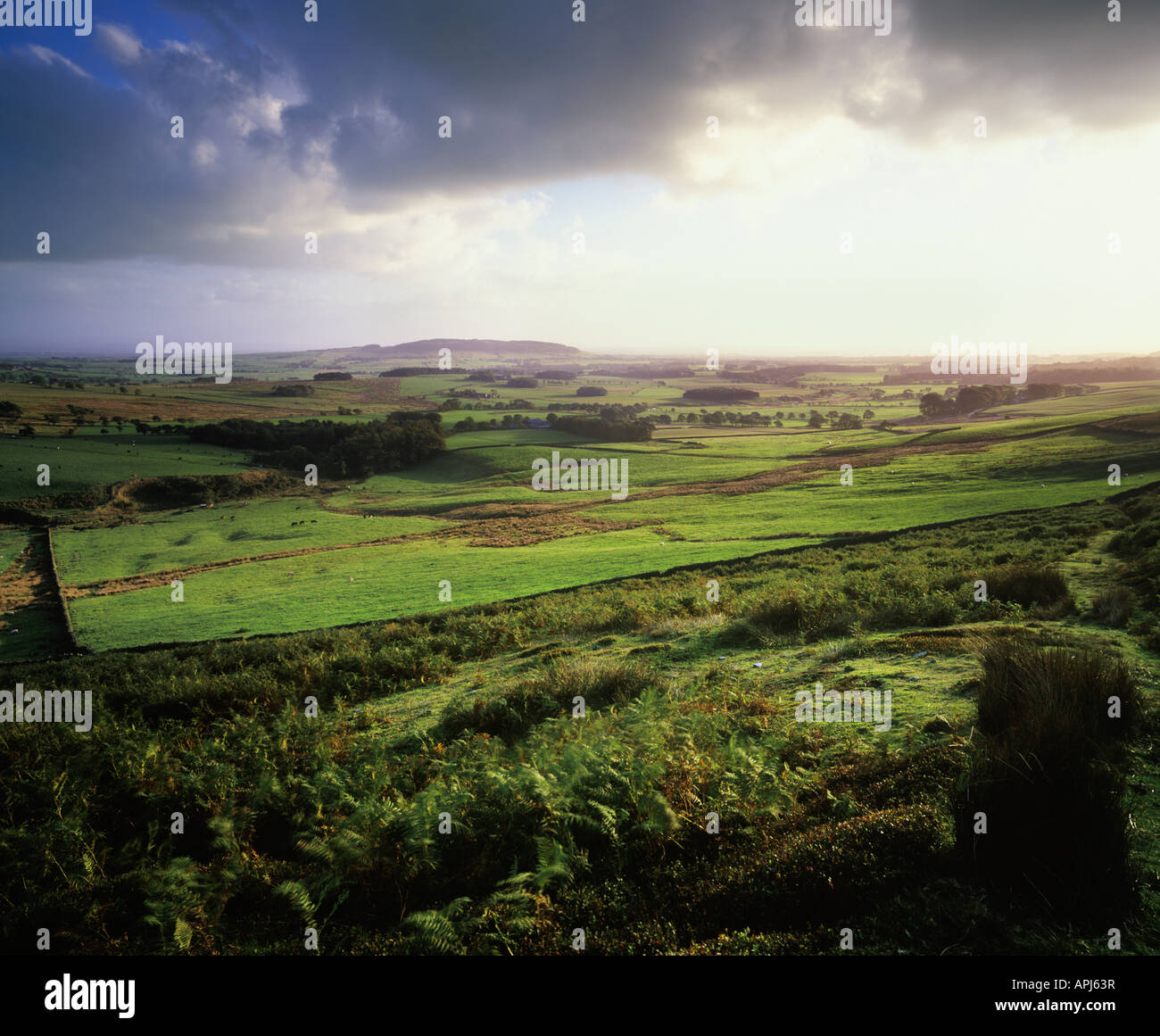 View over Bleasdale Lancashire The low hill on the horizon is Beacon ...