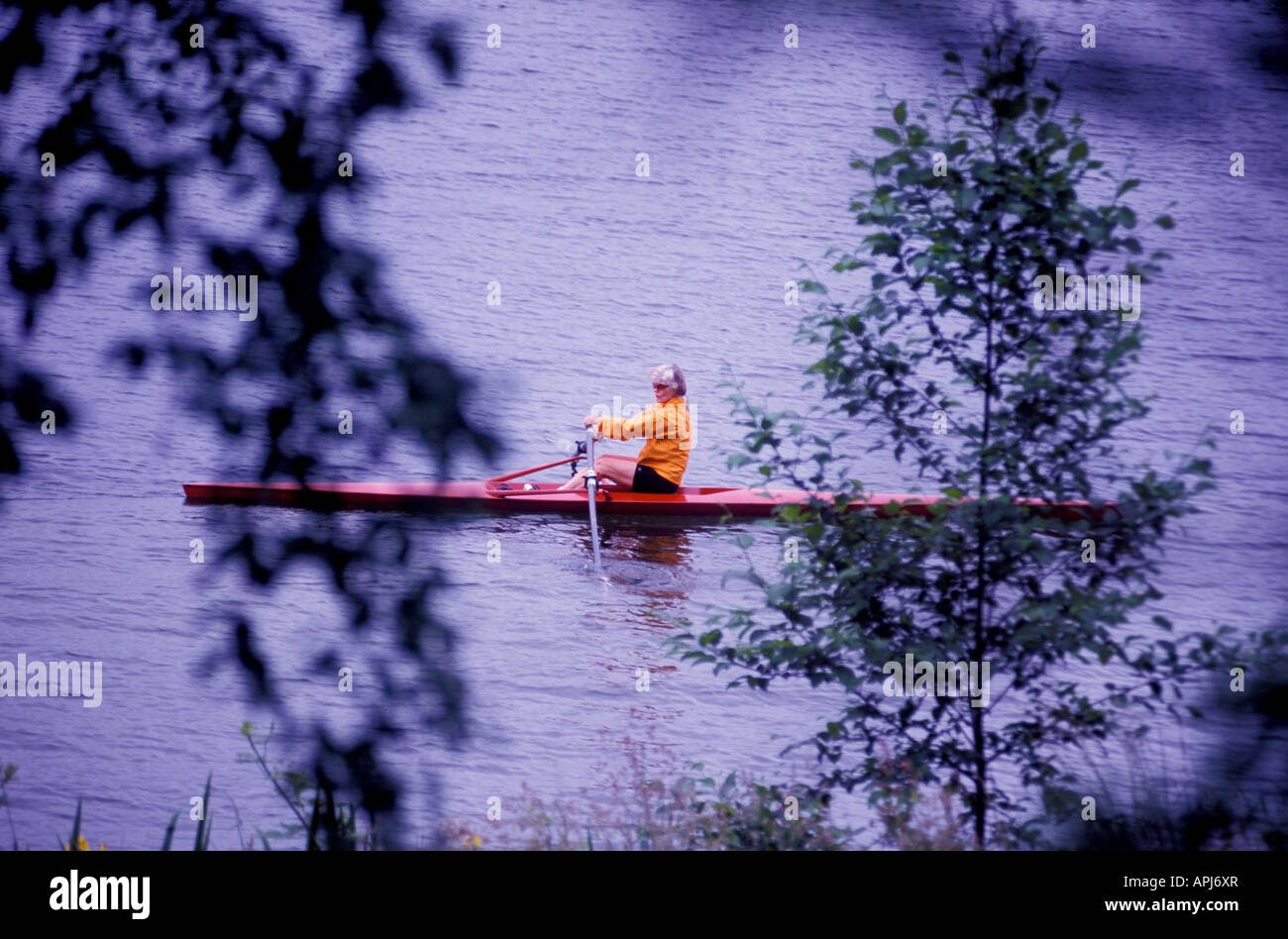 Row rowing rower shell hi-res stock photography and images - Alamy