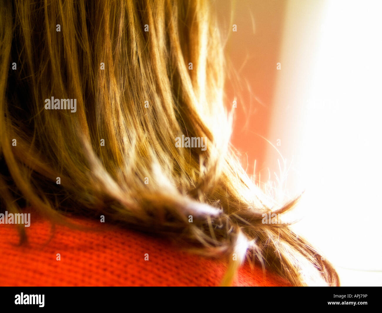 Woman hair detail backlight hi-res stock photography and images - Alamy