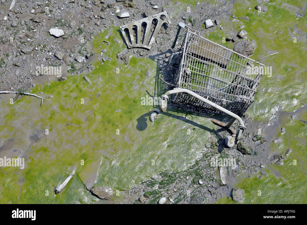 a shopping trolley in a London river Stock Photo - Alamy