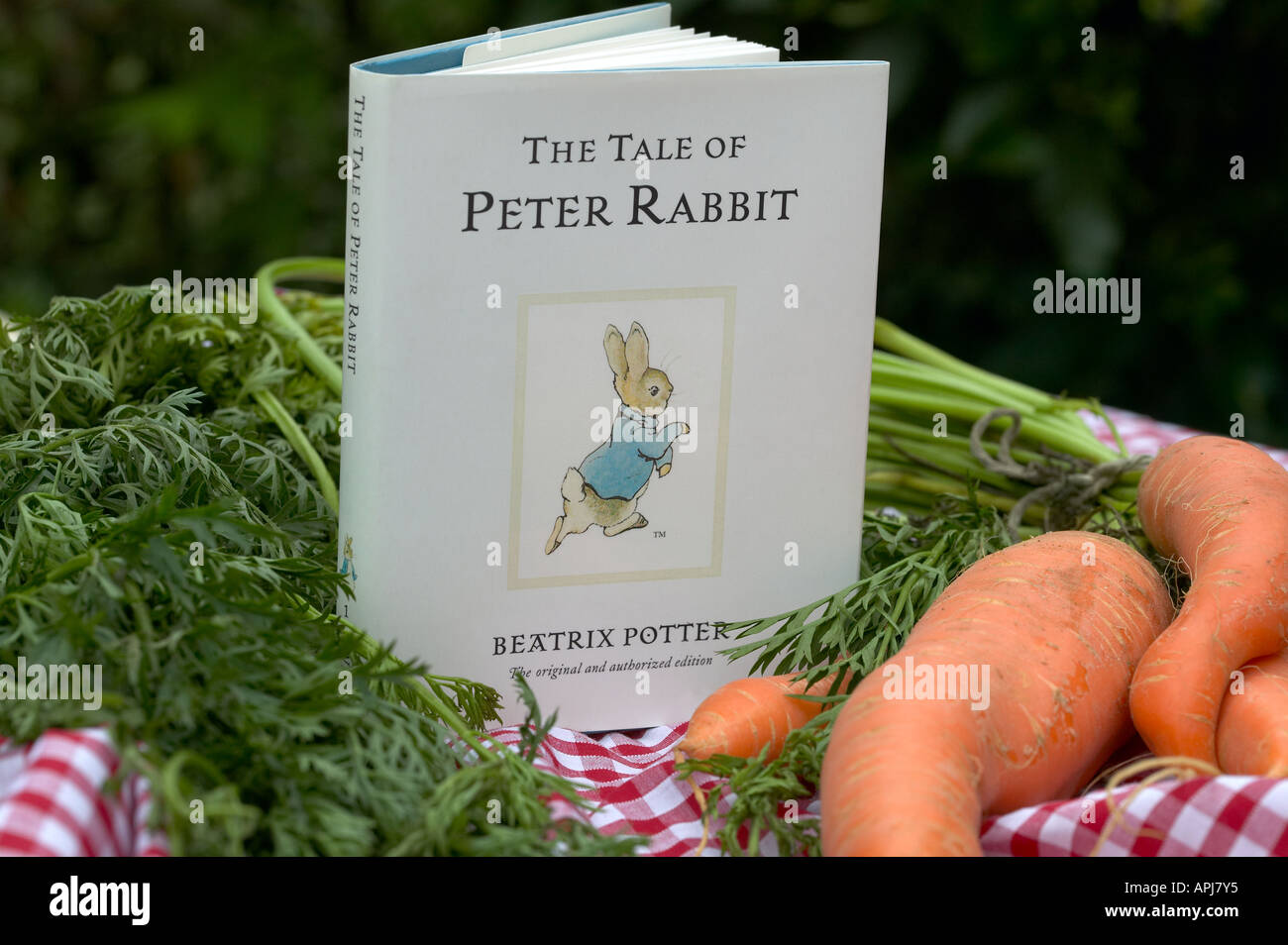 Peter Rabbit With Carrot