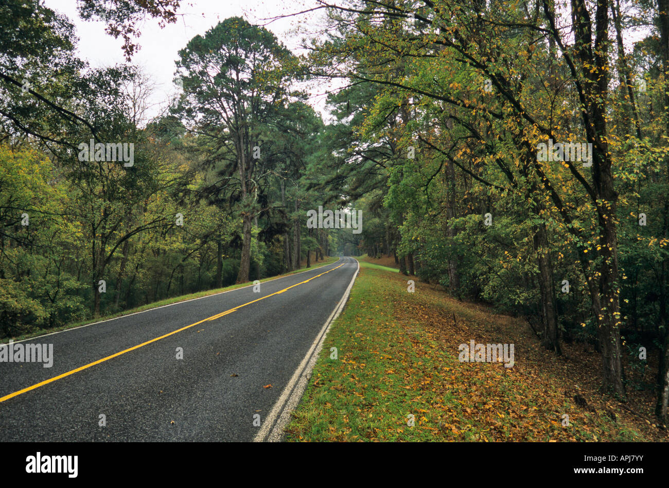 Fayette mississippi hi-res stock photography and images - Alamy