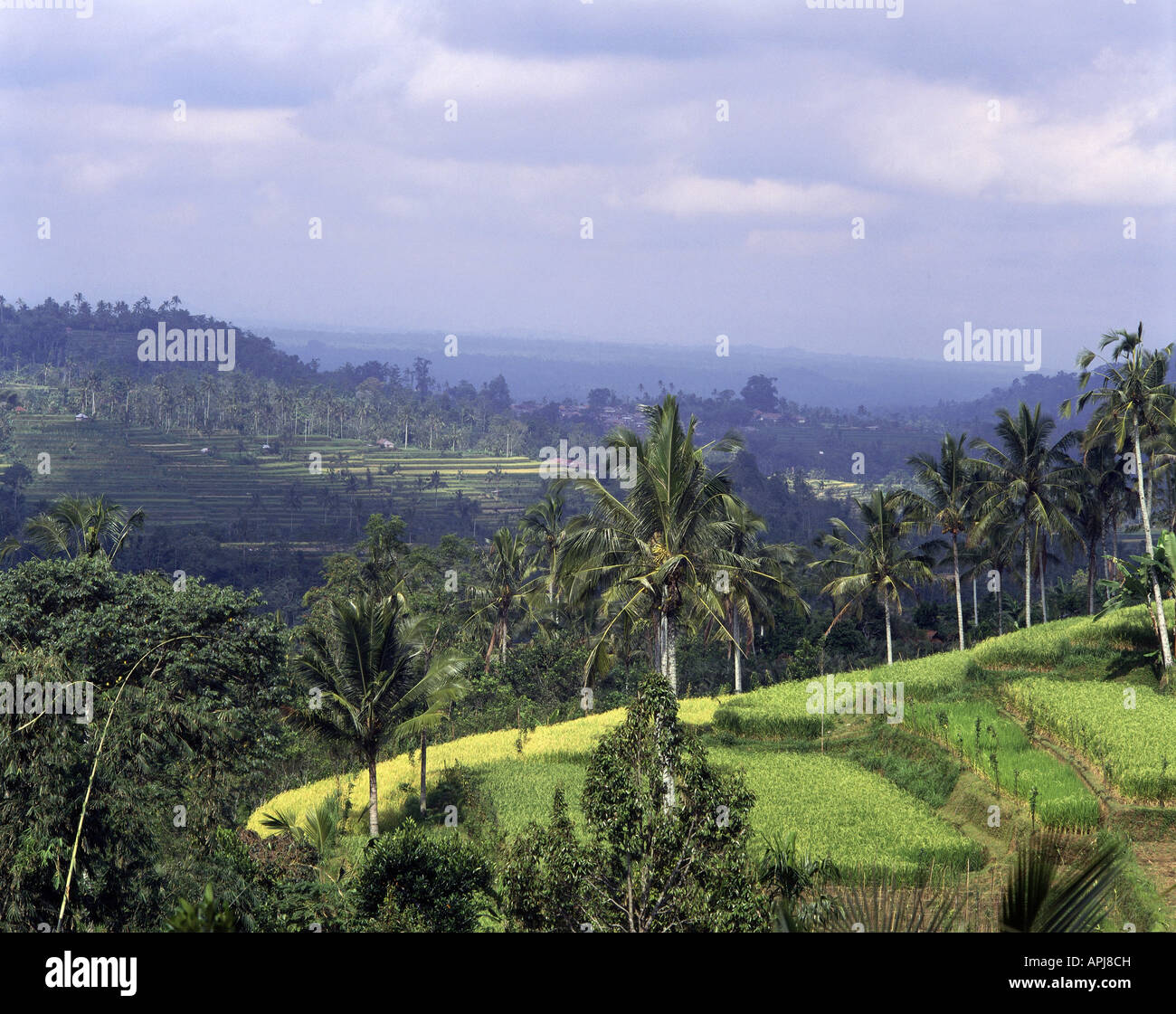 geography / travel, Indonesia, Bali, landscapes, rice terrace around ...