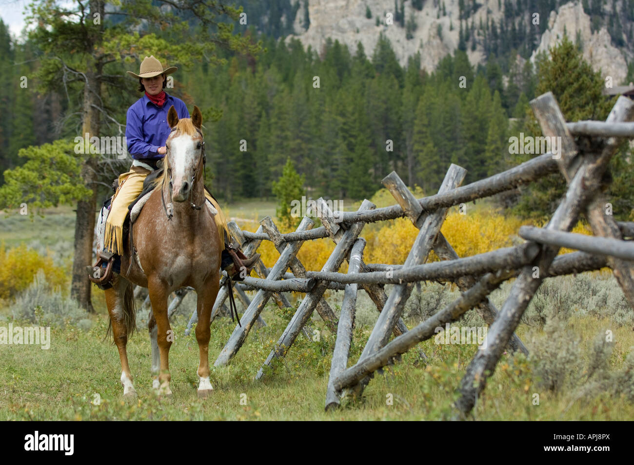 Horse and Rider on Montana Ranch Stock Photo - Alamy