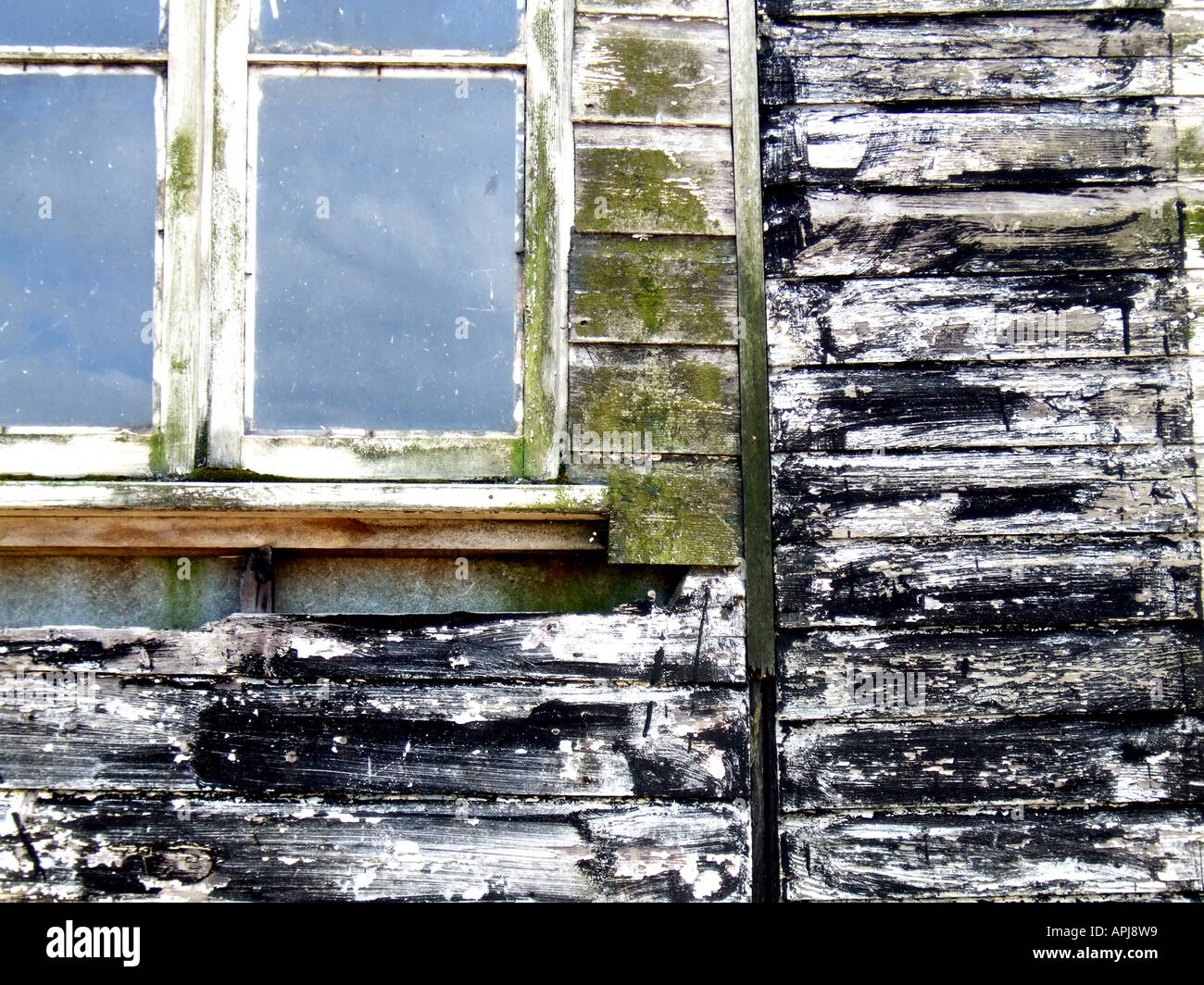 Peeling paint on weathered timber boarding Stock Photo - Alamy