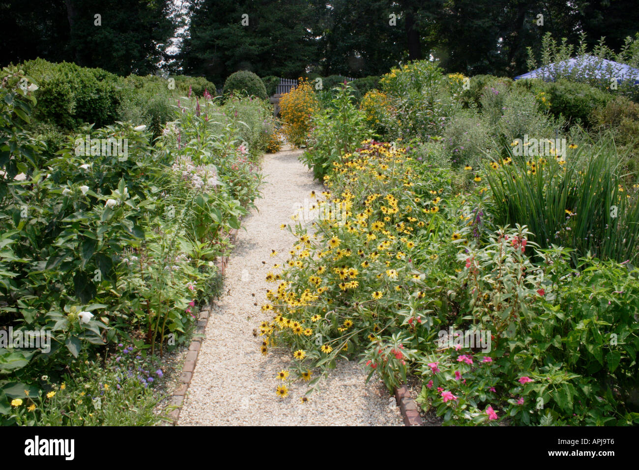 Garden Path through the herbs and flowers, on a beautiful summer day ...