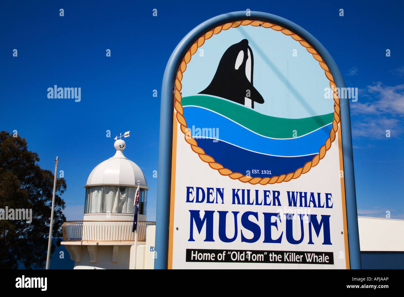 Killer Whale Museum Eden New South Wales Australia Stock Photo - Alamy