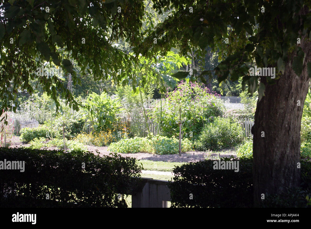 Garden framed by trees and fence Stock Photo - Alamy