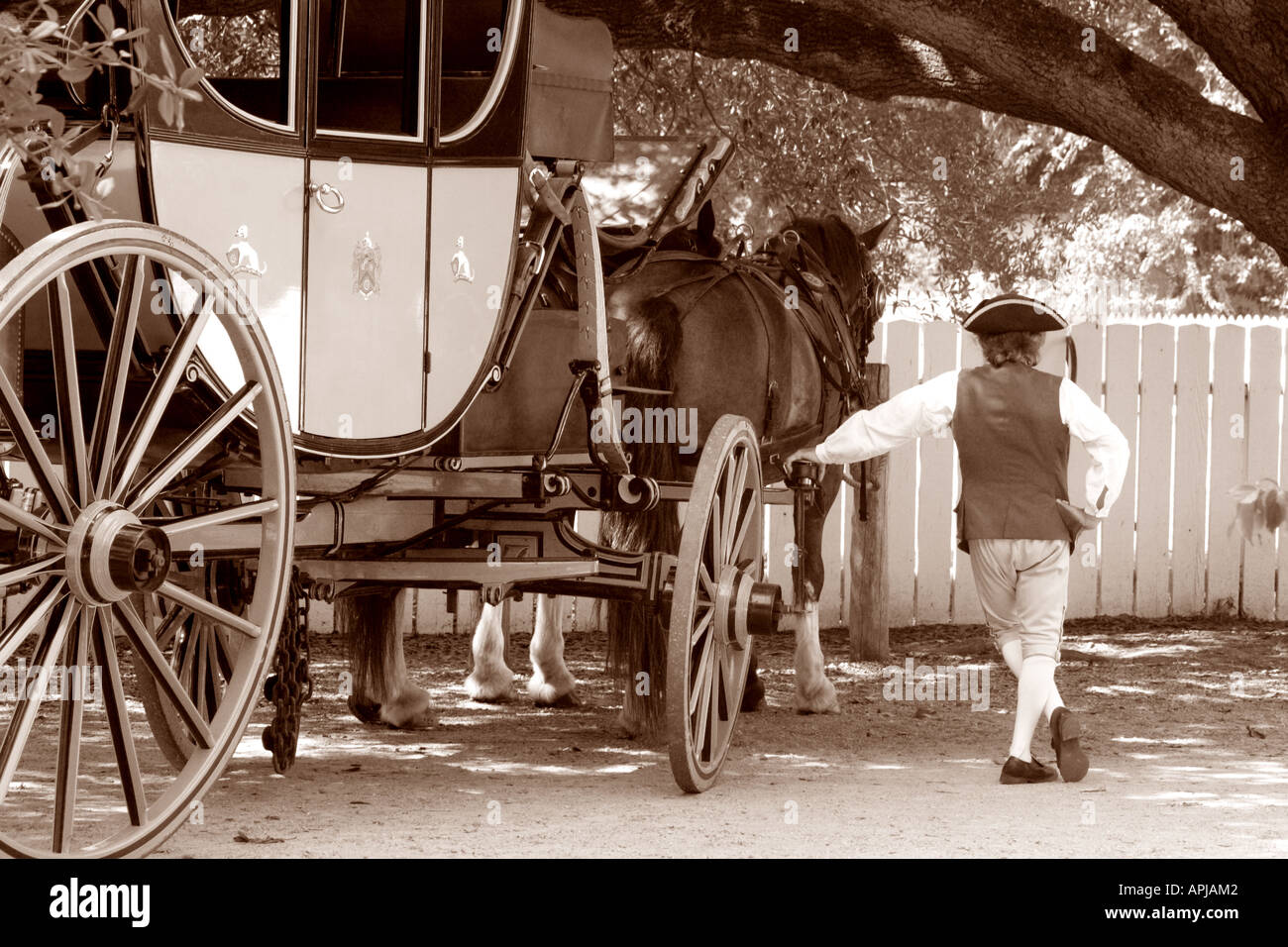 Horse drawn carriage and driver hi-res stock photography and images - Alamy