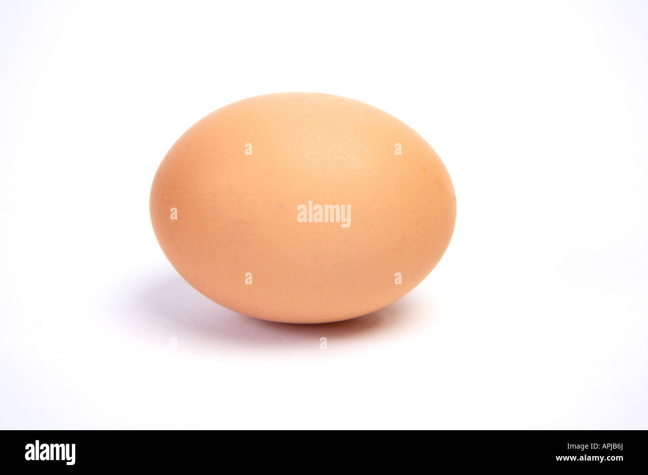 A single brown egg lying on its side Stock Photo - Alamy