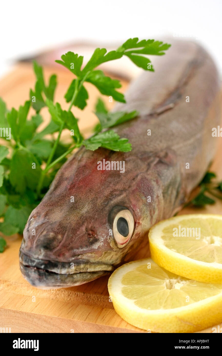 Hake head hi-res stock photography and images - Alamy