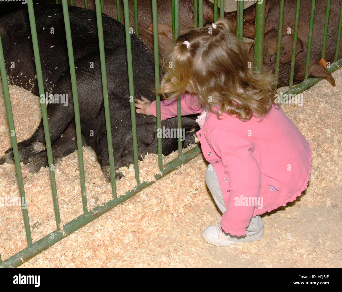 Armada Fair Michigan USA Stock Photo - Alamy