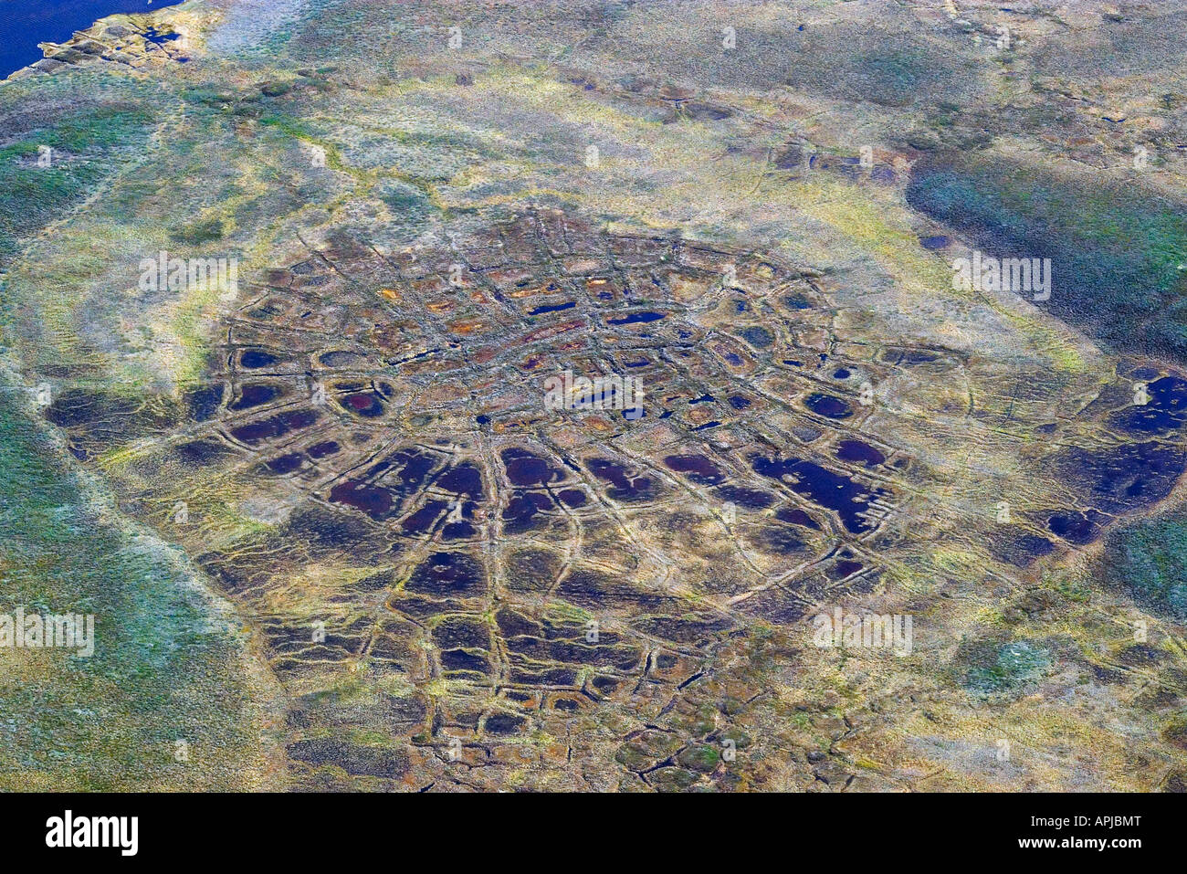 The peaty wetlands of the Mackenzie River Delta based on permafrost ...