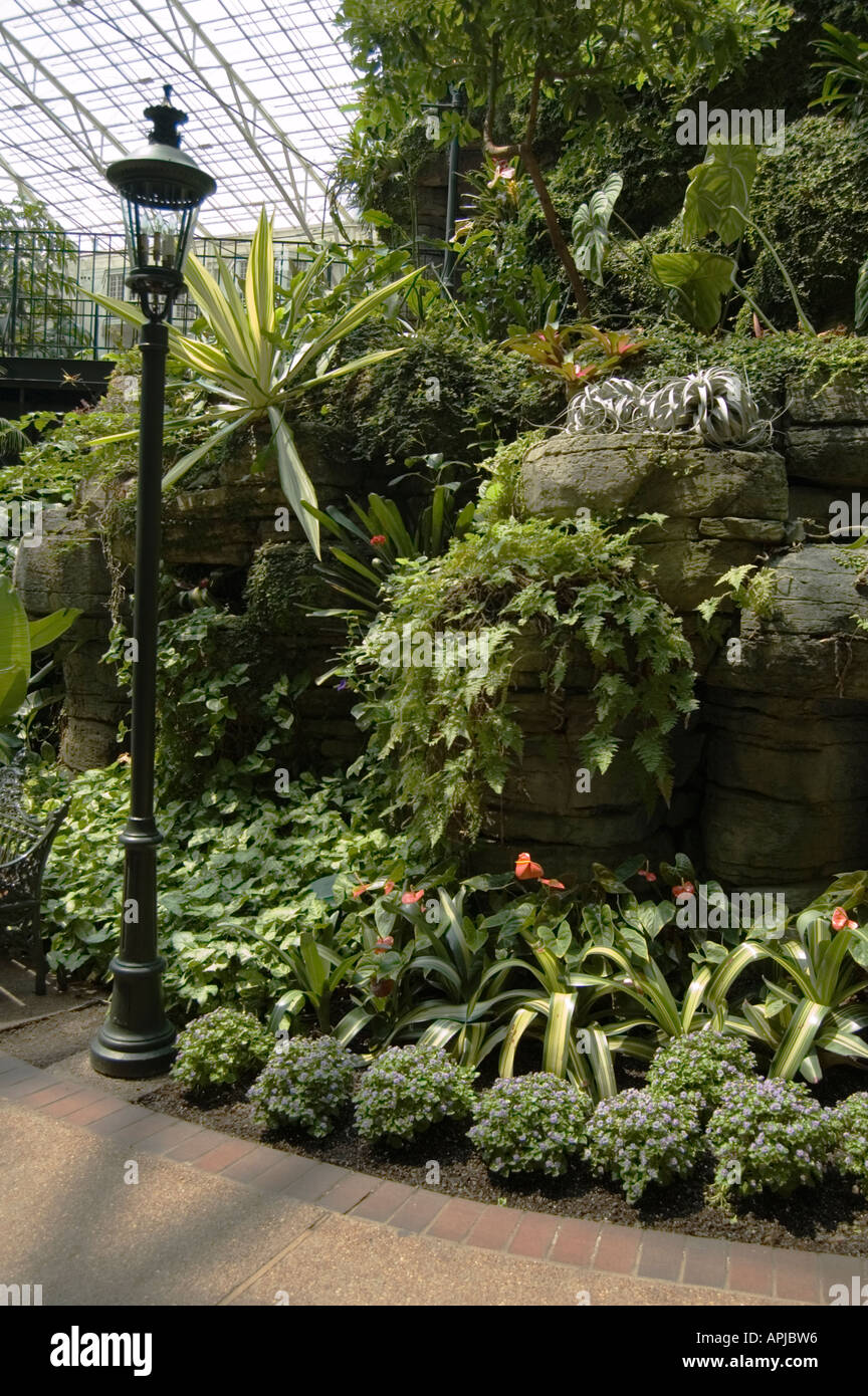 Tropical atrium hi-res stock photography and images - Alamy