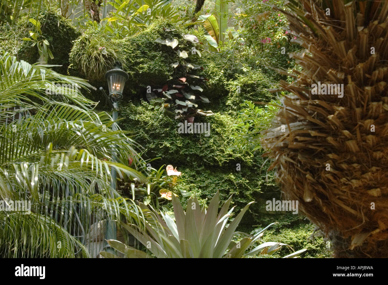 Tropical Paradise Setting Stock Photo - Alamy