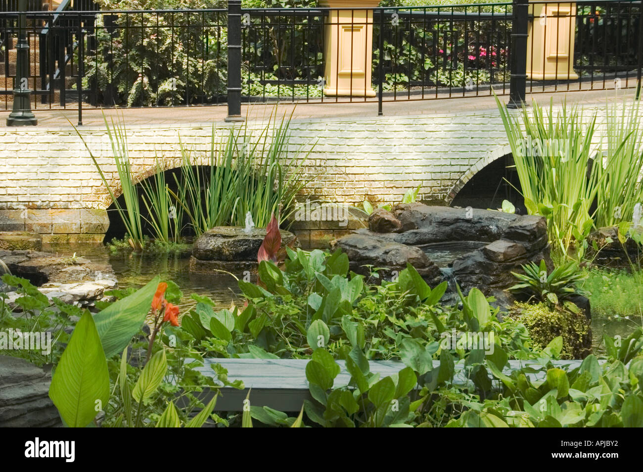 Water Garden Display Stock Photo - Alamy
