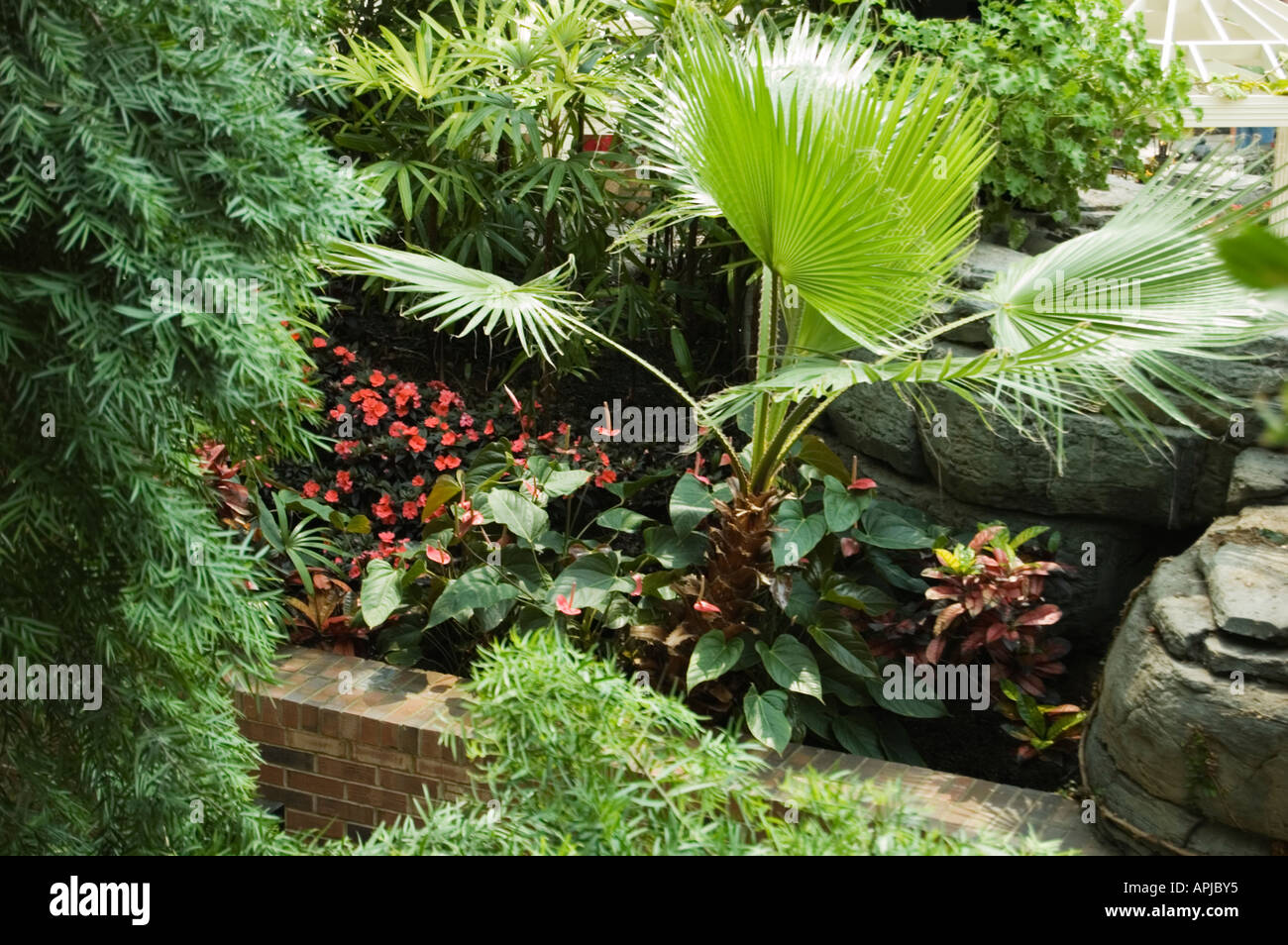 Tropical Plant Display Stock Photo - Alamy