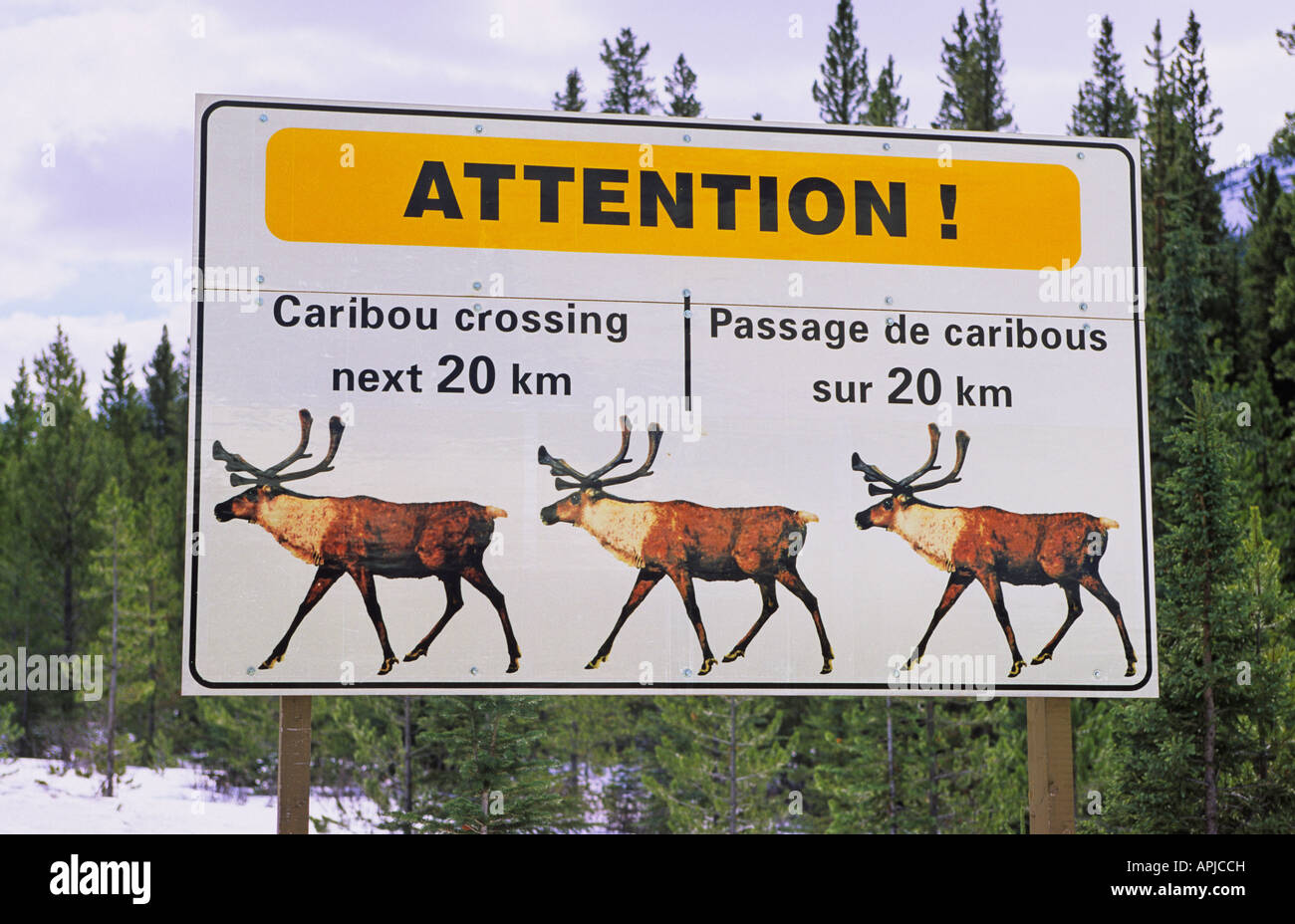 Caribou crossing sign hi-res stock photography and images - Alamy