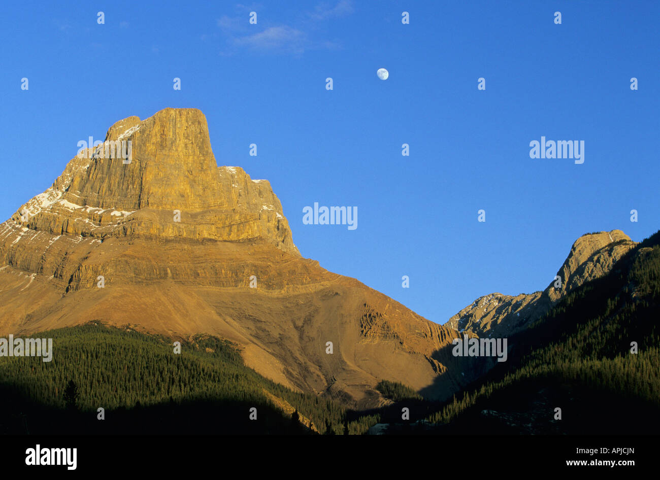 Roche miette hi-res stock photography and images - Alamy