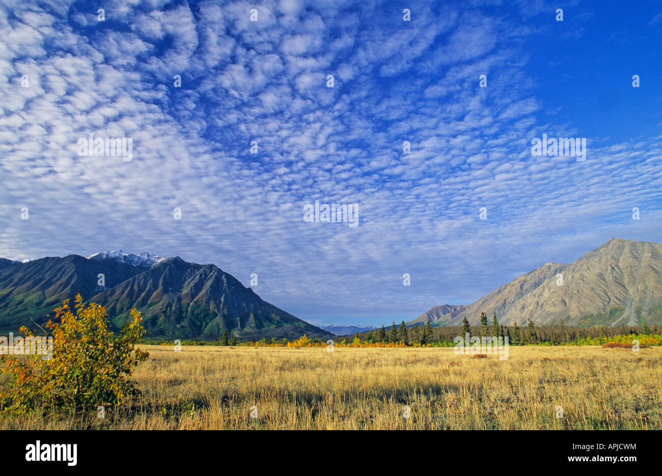 Mt Martha Black and Mt Archibald in fall or autumn colours Kluane ...