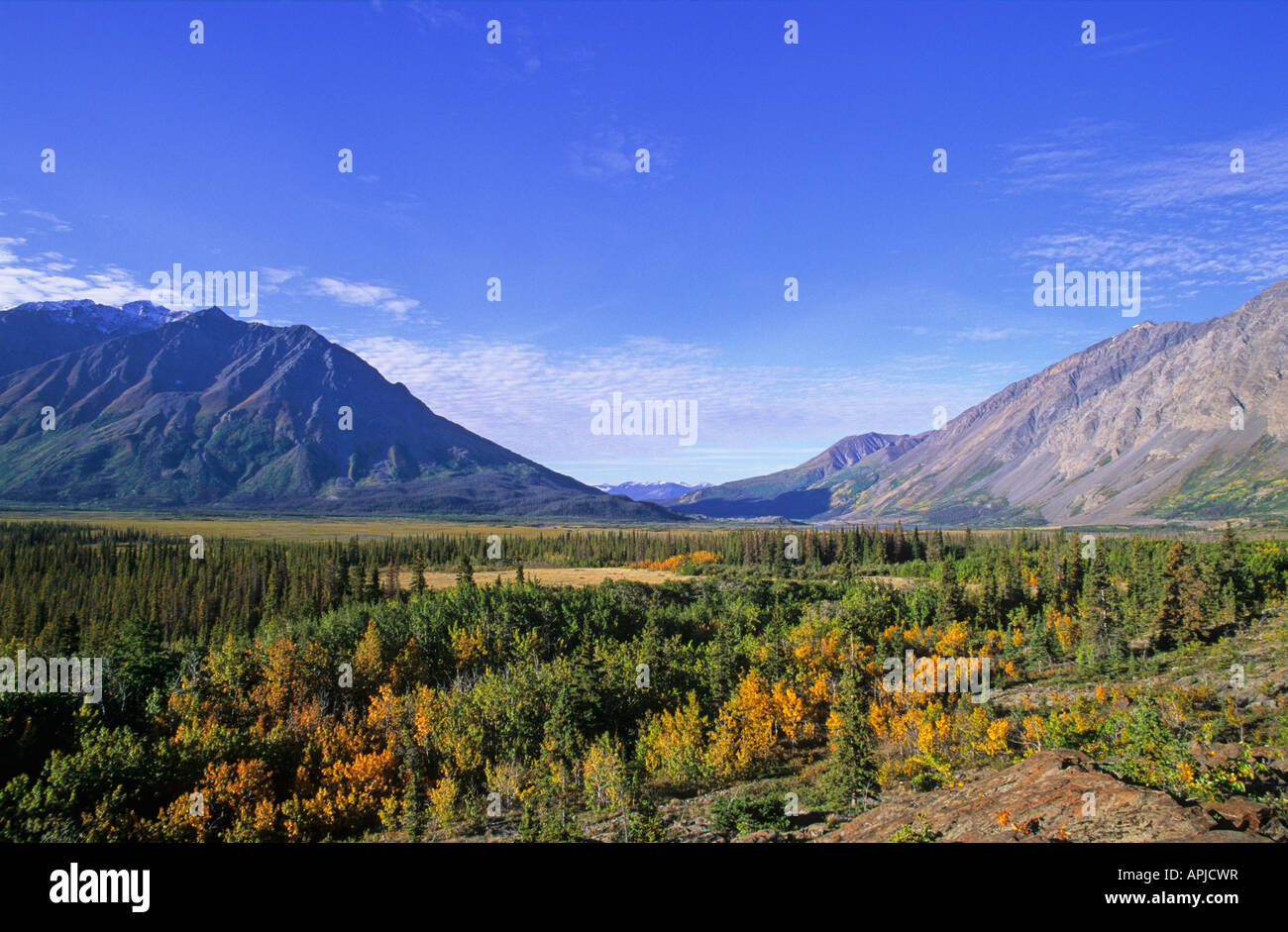 Alsek River Valley in fall colours Kluane National Park Yukon Territory ...