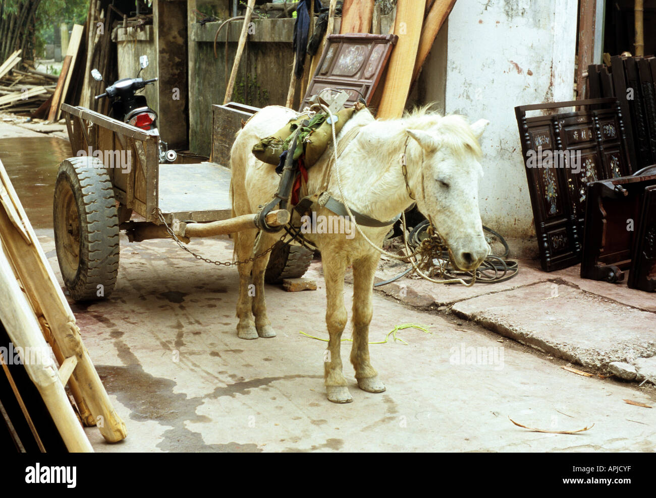 Pony cart hi-res stock photography and images - Alamy