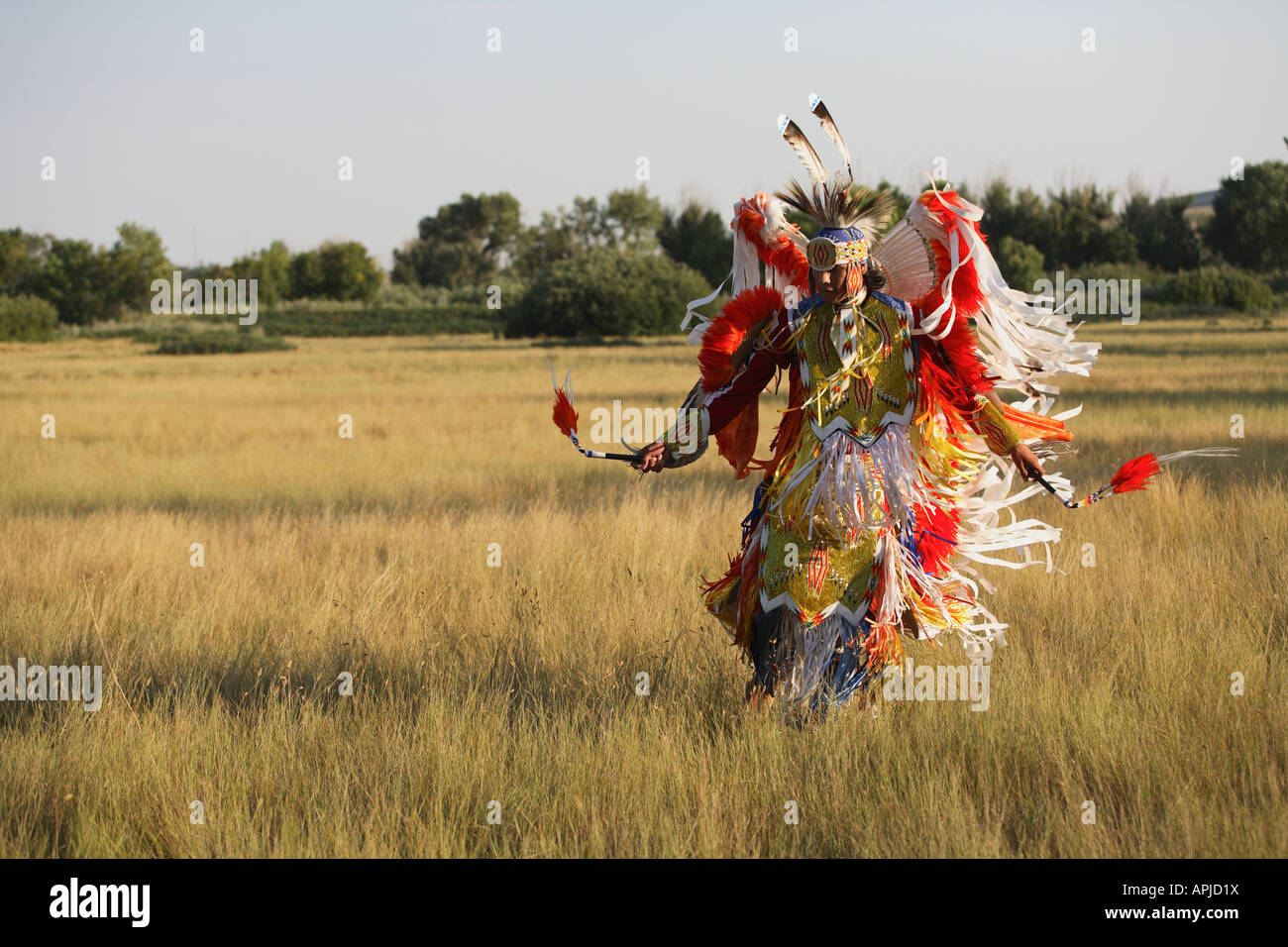 Canada indian fancy dance dancer hi-res stock photography and images ...