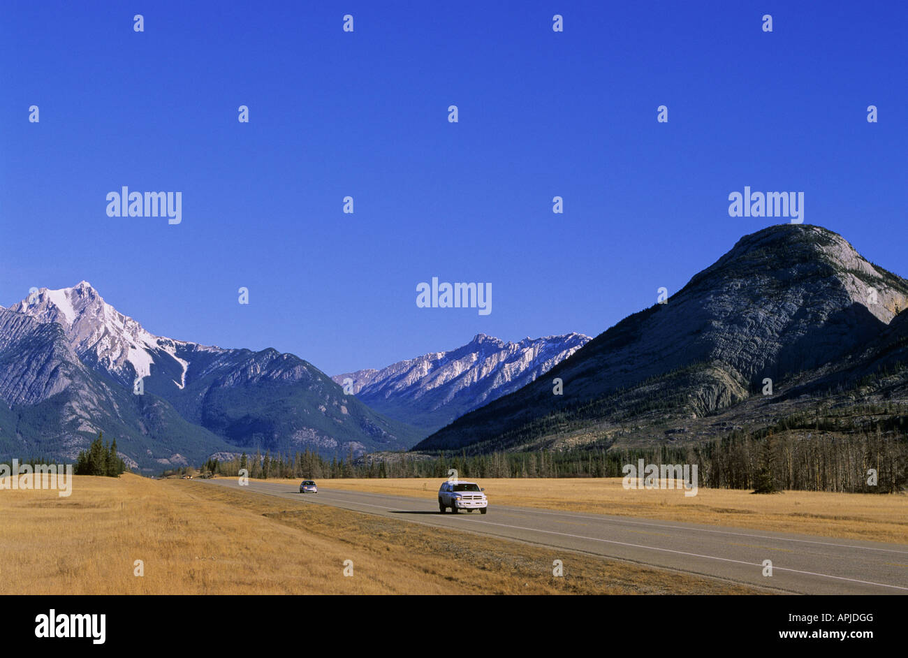 Yellowhead Highway Jasper National Park Alberta Canada Stock Photo - Alamy