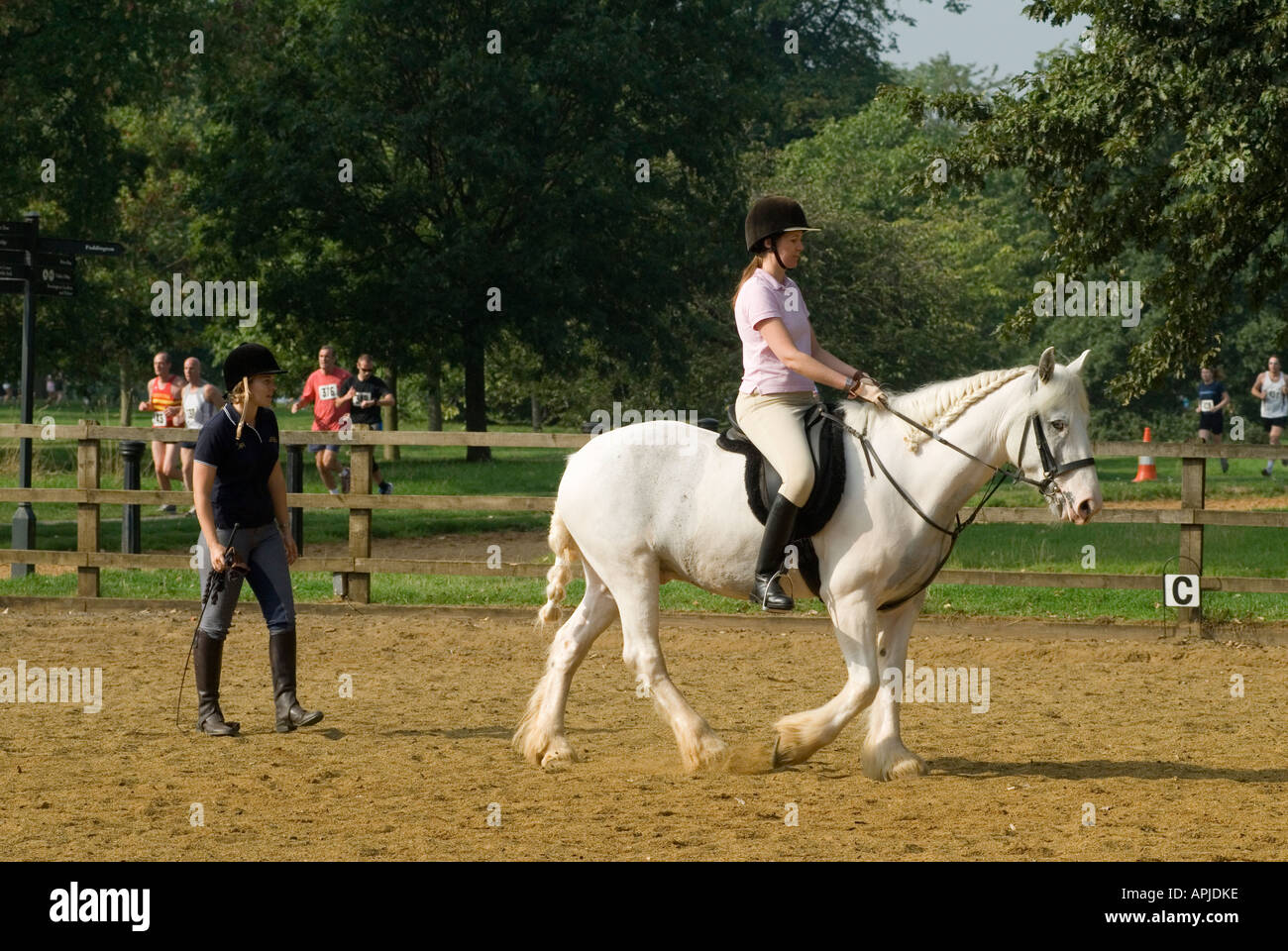 Horse riding in Hyde Park Schooling London England Stock Photo - Alamy
